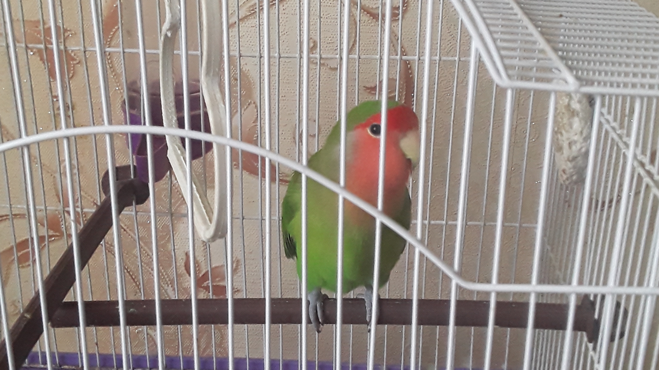 обзор на Geometry Dash