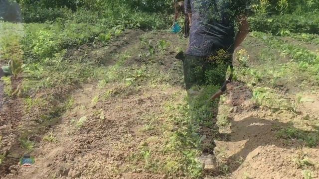 Cвоими руками - 2 (2019)