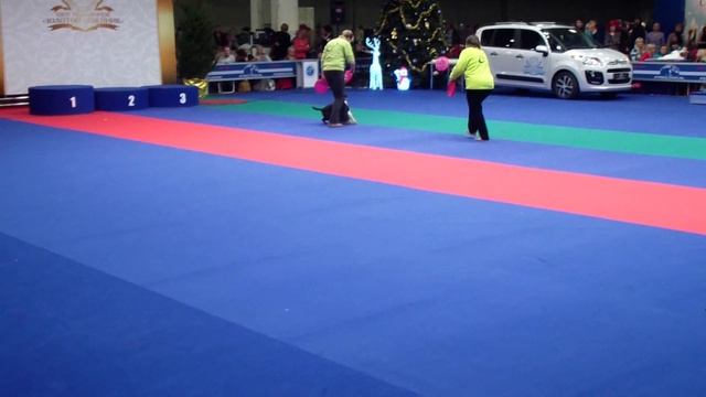 Показательные выступления - Таня, Юля и Пегас.mp4