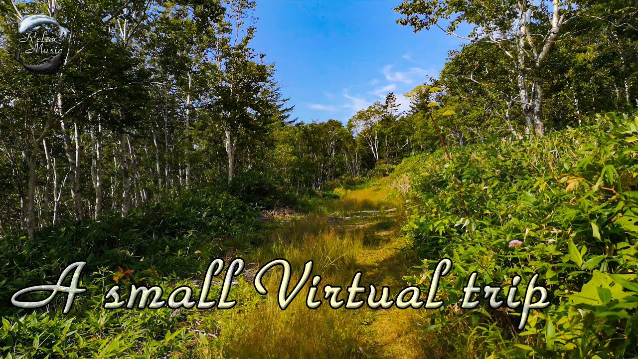 Спокойная и расслабляющая музыка для отдыха. Прогулка по старой лесной дороге.