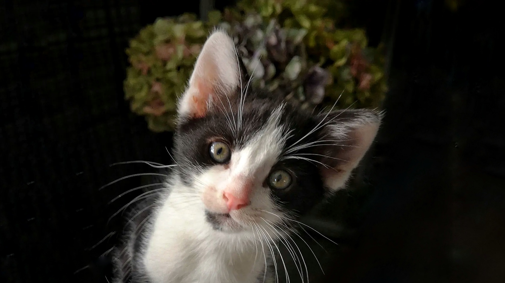 Дорога домой. ДЮК