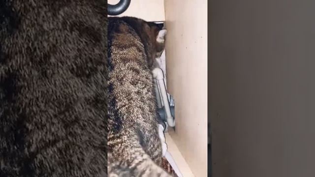 А вы точно сантехник