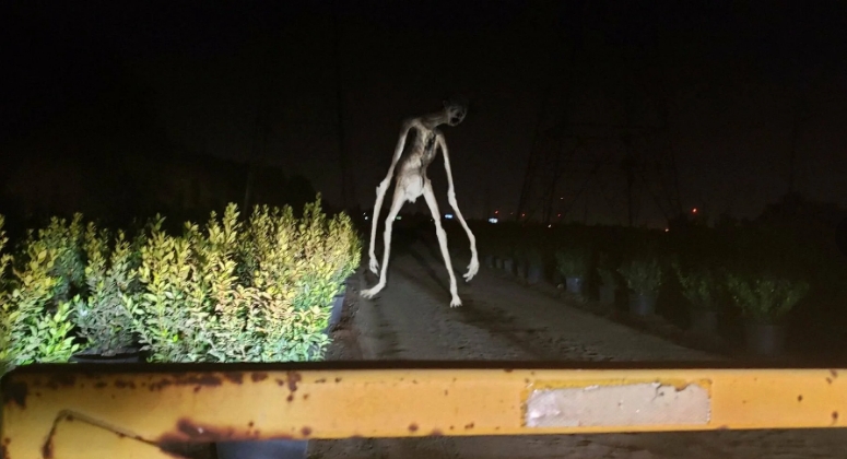 Кошмар в парке Галицкого. Правдивый отчет Краснодарца.