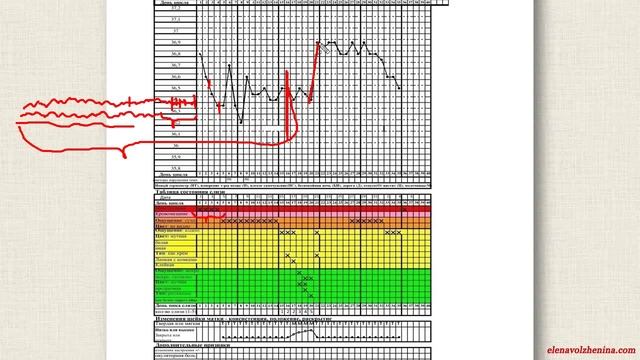 СимптоТермальный Метод Распознавания Плодности (СТМРП, СТ-метод) - Урок4, Часть2.