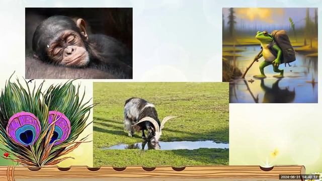 Открытый урок-зачет по детскому санскриту