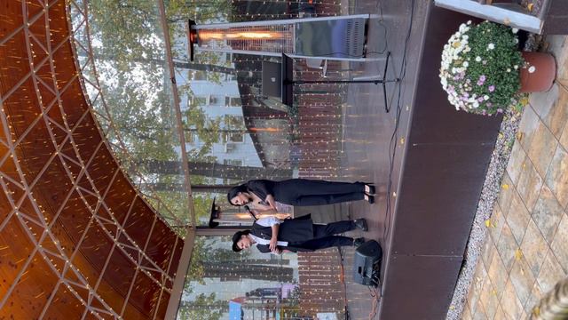 Старый клен