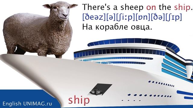 Видео- звуковой бесплатный английский онлайн тренажер. Английский предлог ON на транспорте.