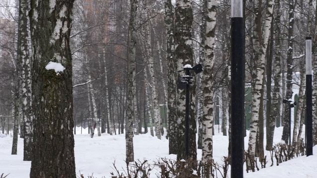 Юрий Адрианов- защитник Нижнего Новгорода