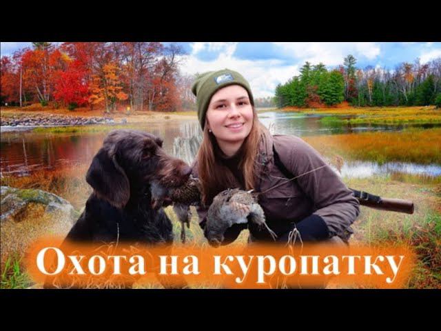 Охота на куропаток, девушка охотник, girl hunter, partridge hunting