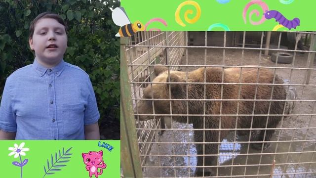 Помогать природе очень важно!