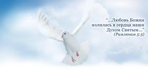 Ангел Светлый и прекрасный! христианский стих /Автор С.Камаскина,читает А.Долгов.mp4