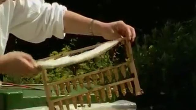 матководство в Польше.mp4