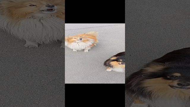 на Васильевском острове