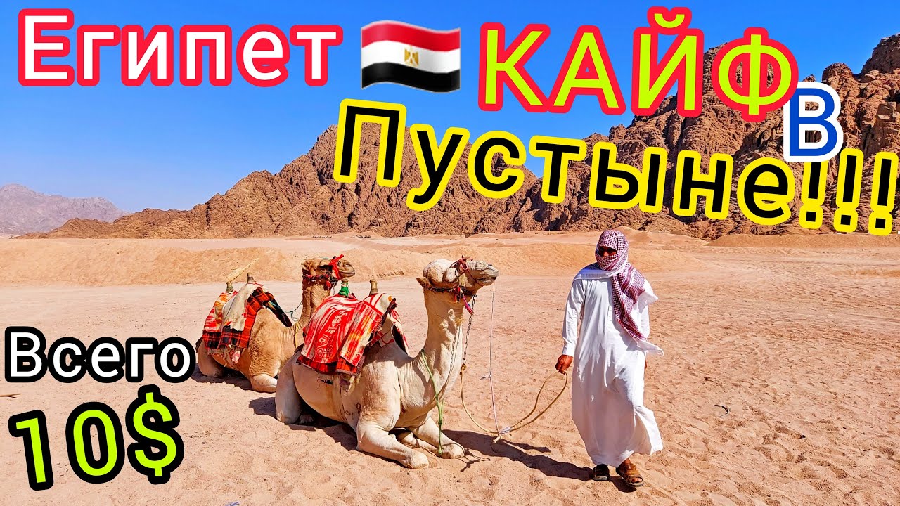 САФАРИ на КВАДРАЦИКЛАХ в пустыне. Отдых БЕЗ ПРАВ за КОПЕЙКИ. Экскурсии в Шарм эль ШЕЙХ Египет