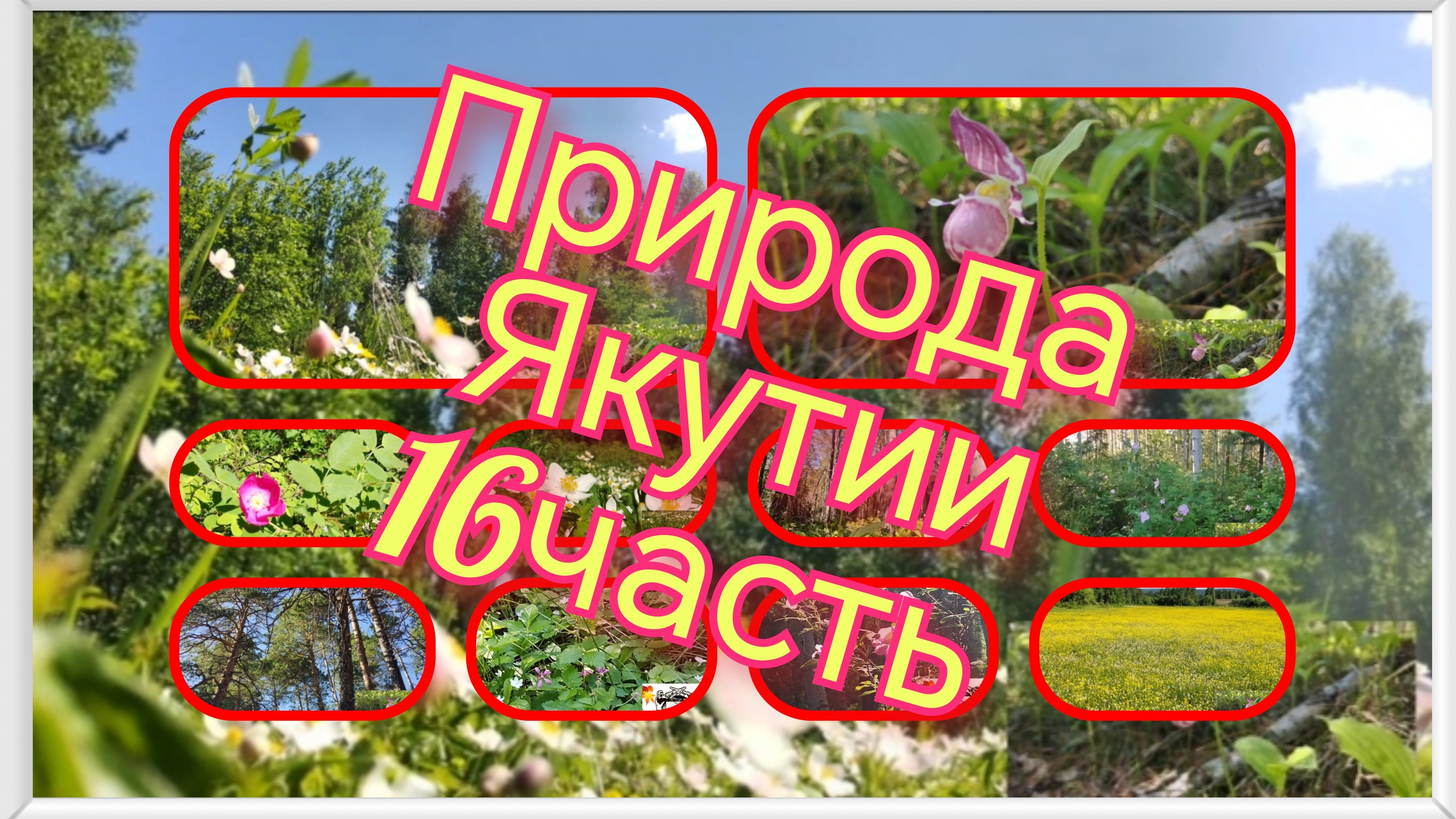 Природа Якутии 1001981172.mp4