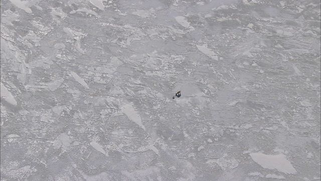 BBC: Планета Земля 6 серия «Ледяные миры» (сериал, 2006)