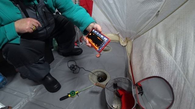 Рыбалка с ночёвкой В палатке куб #fishing , #рыбалка, #bushcraft.