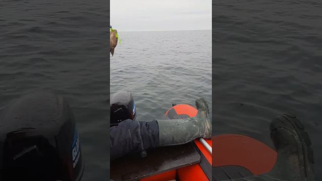 Морская рыбалка. Довольное лицо)#рыбалка #треска #море