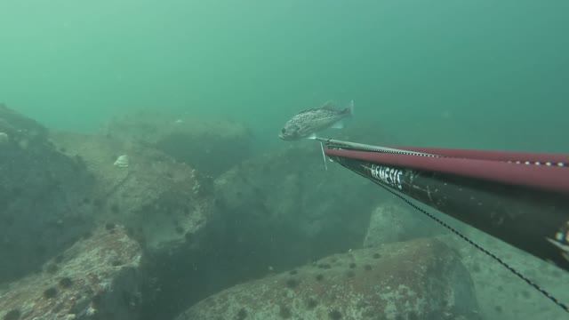 Удачный нырок