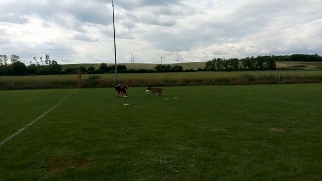 AWI Qualifier Austria'17 Gertrude & Dywara.mp4