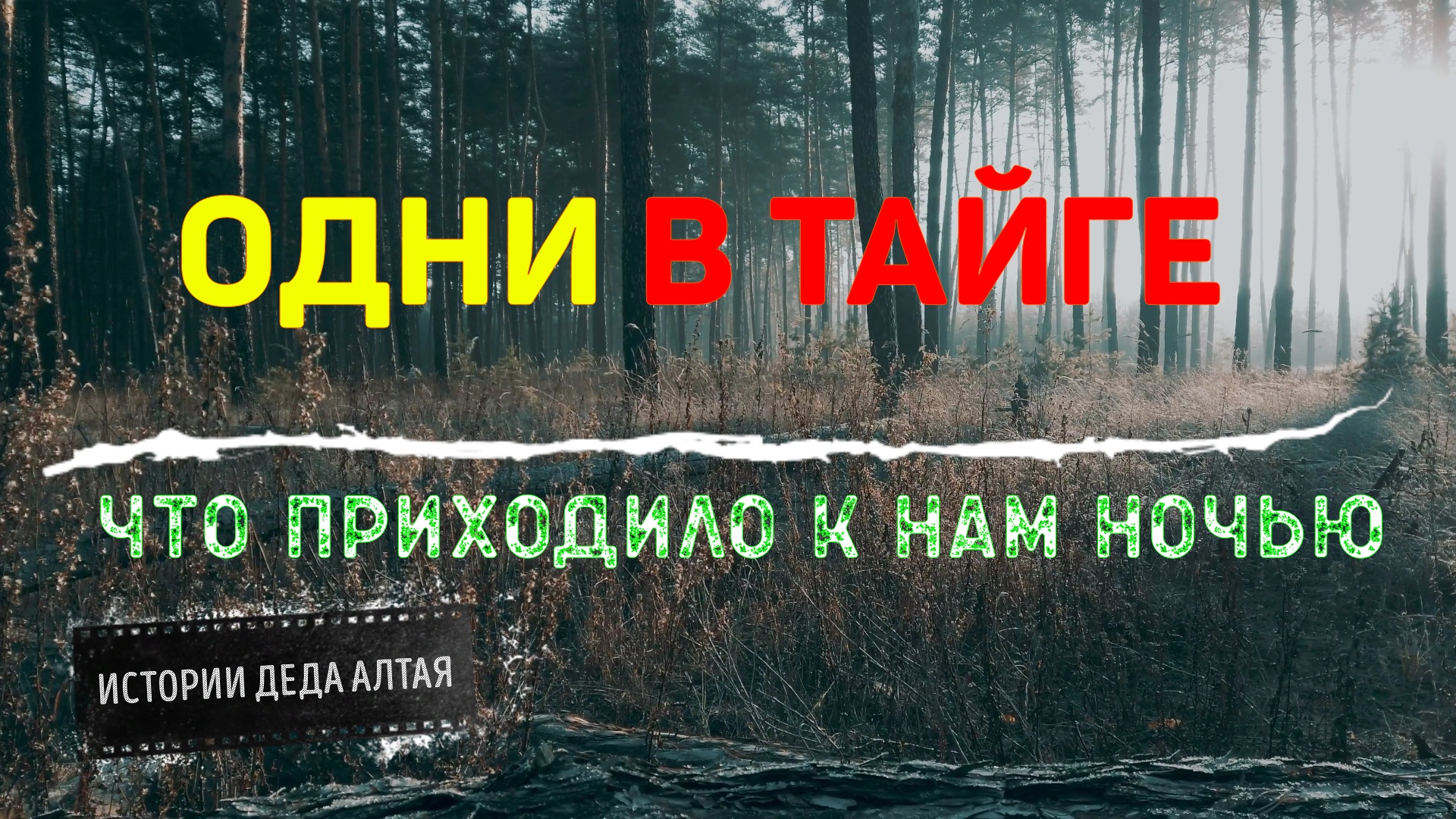ОДНИ В ТАЙГЕ | ЧТО ПРИХОДИЛО К НАМ НОЧЬЮ | ТАЕЖНЫЕ ИСТОРИИ