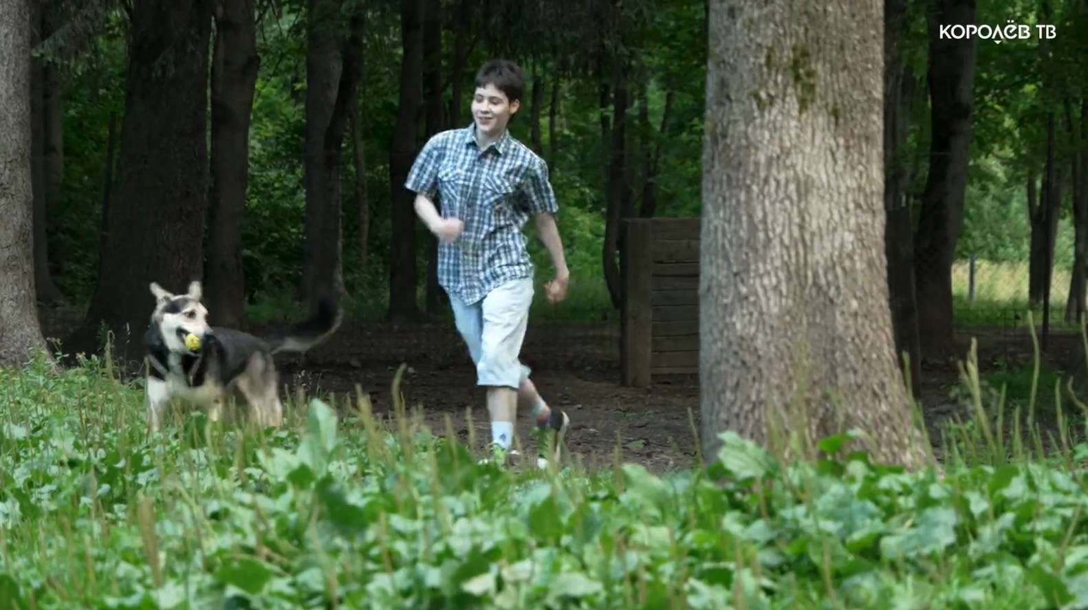 Культура выгула питомцев: как и где можно гулять с собакой