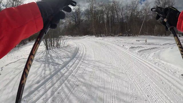 Спорт