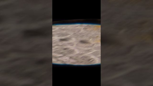 Лечение дырчатой болезни рыб под микроскопом (1000)