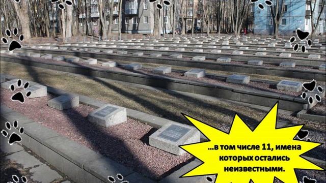 Сер. 5 Прогулка по Юбилейной.mp4