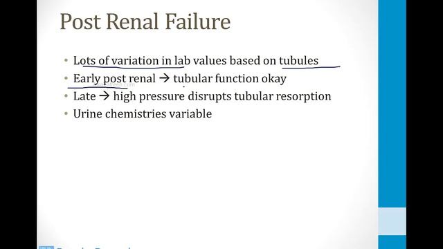 Почки USMLE - 4. Заболевания нефрона - 6.Почечная недостаточность (Boards and Beyond)