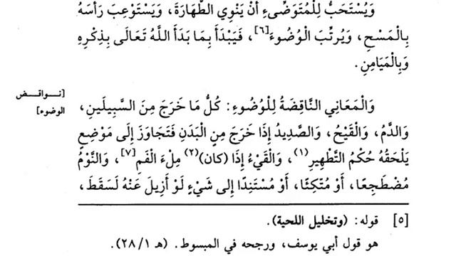 مختصر القدوري омовение часть 2.mp4