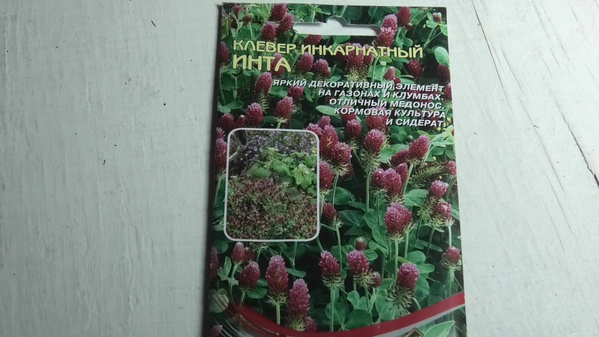 10-14 12 2023г использование клевера инкорнантного и лугового