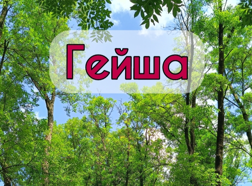 Гейша (тренинг)