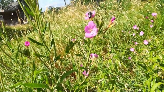 П А С Е К А
22 июля 2021 года