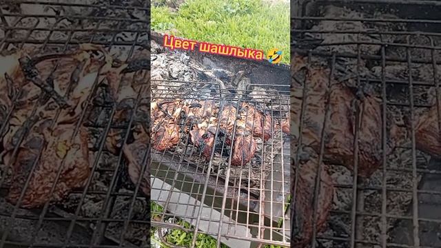 Смешные и забавные шутки про шашлык на даче?