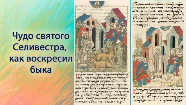 Чудо святого Селивестра, как воскресил быка