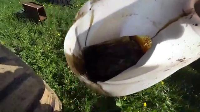 @Monax - рекомендует моторные масла Vitex!