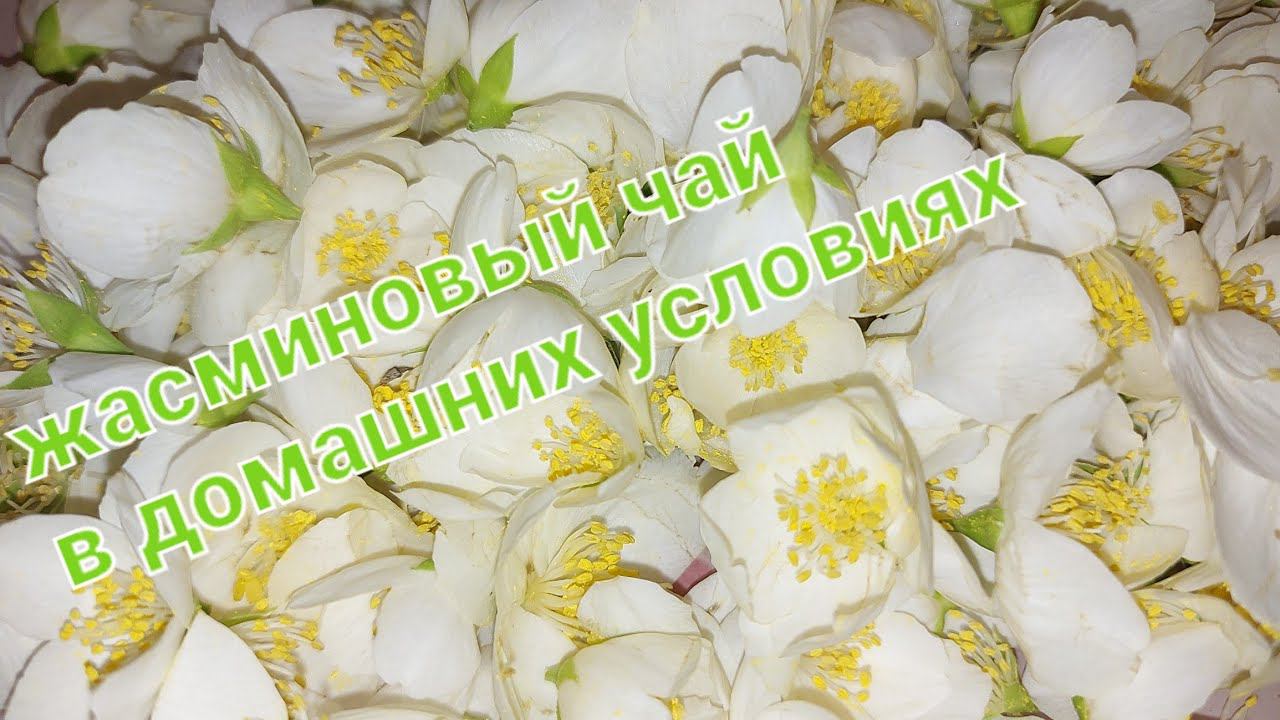 27 июня 2022 г.