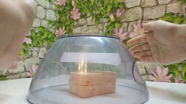 Телекинез! А вы так сможете! Попробовать стоит! Telekinesis.