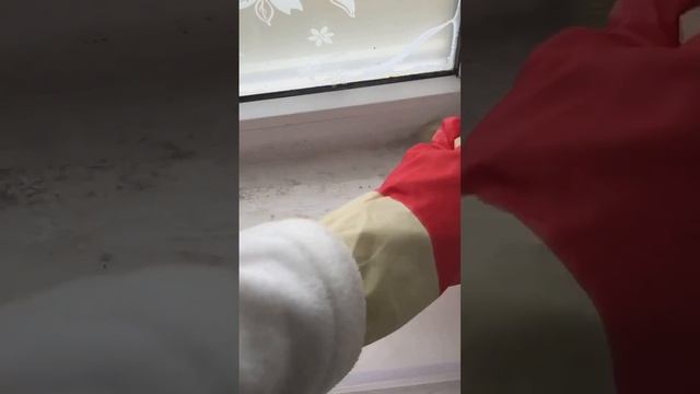 Избавляемся от сырости в квартире ?