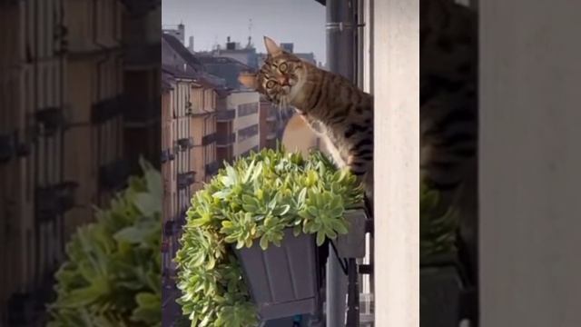 Не понял?..