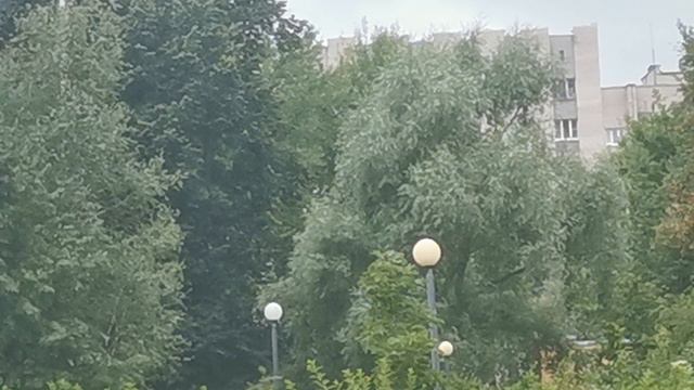 Ветер, деревья, Северный проезд