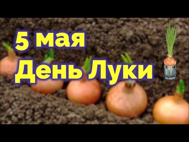 5 мая в Народном календаре