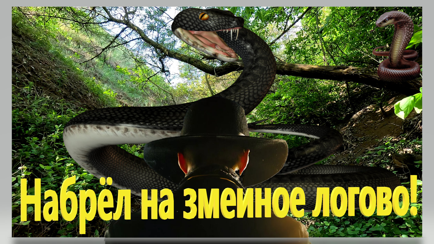 Набрёл на змеиное логово. Рыбалка на Ейском лимане. Город Ейск.