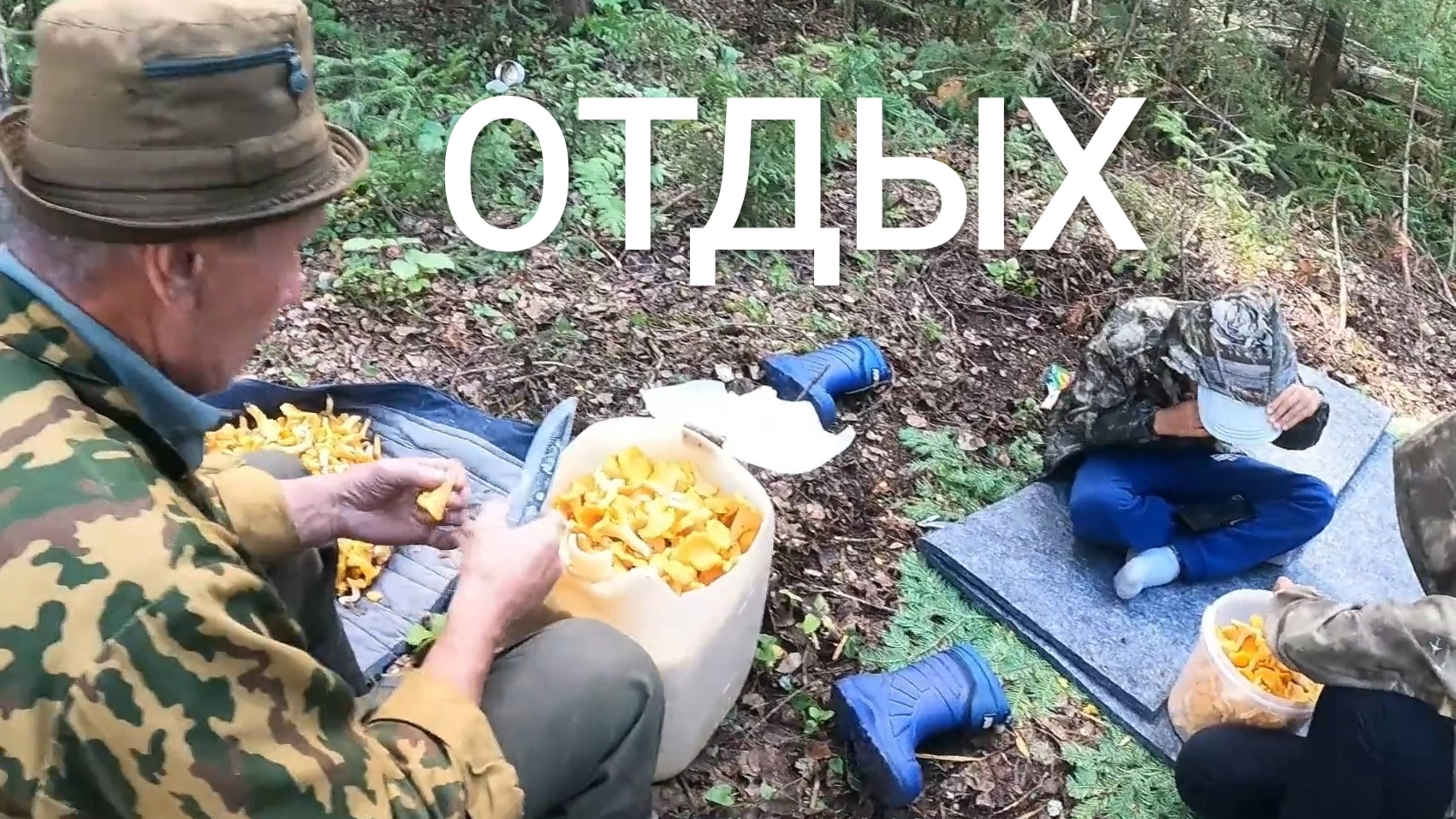 ПОХОД! ОТДЫХ! ТИХАЯ ОХОТА! Деньги на грибах.