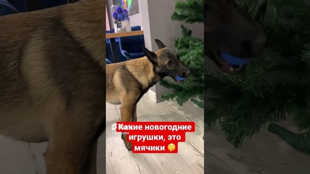 мячики ? хочу больше мячиков