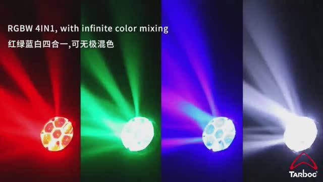 TARBOC BEE EYE RH-FY07