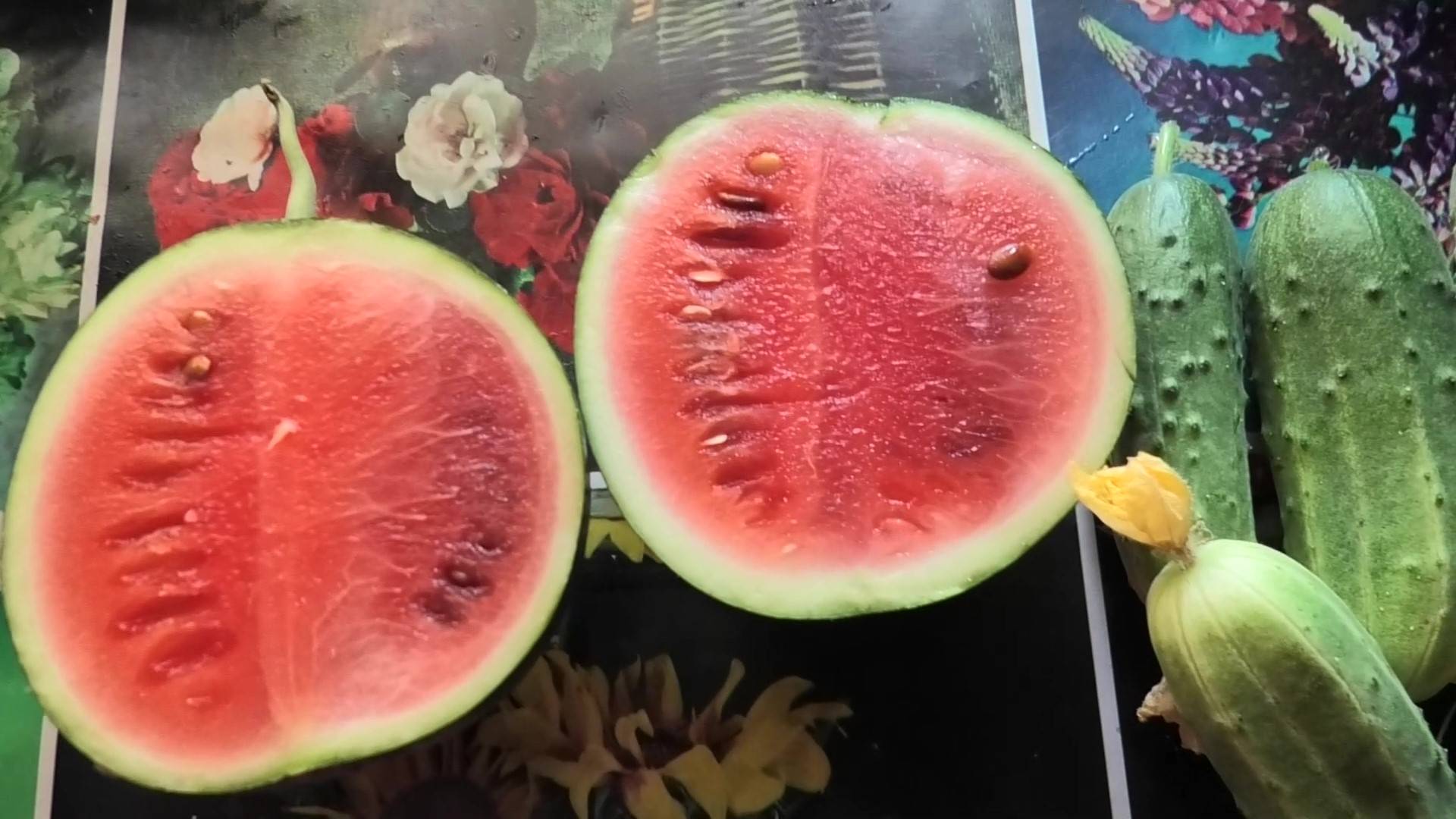 27 07-1 08 24г обзор огорода