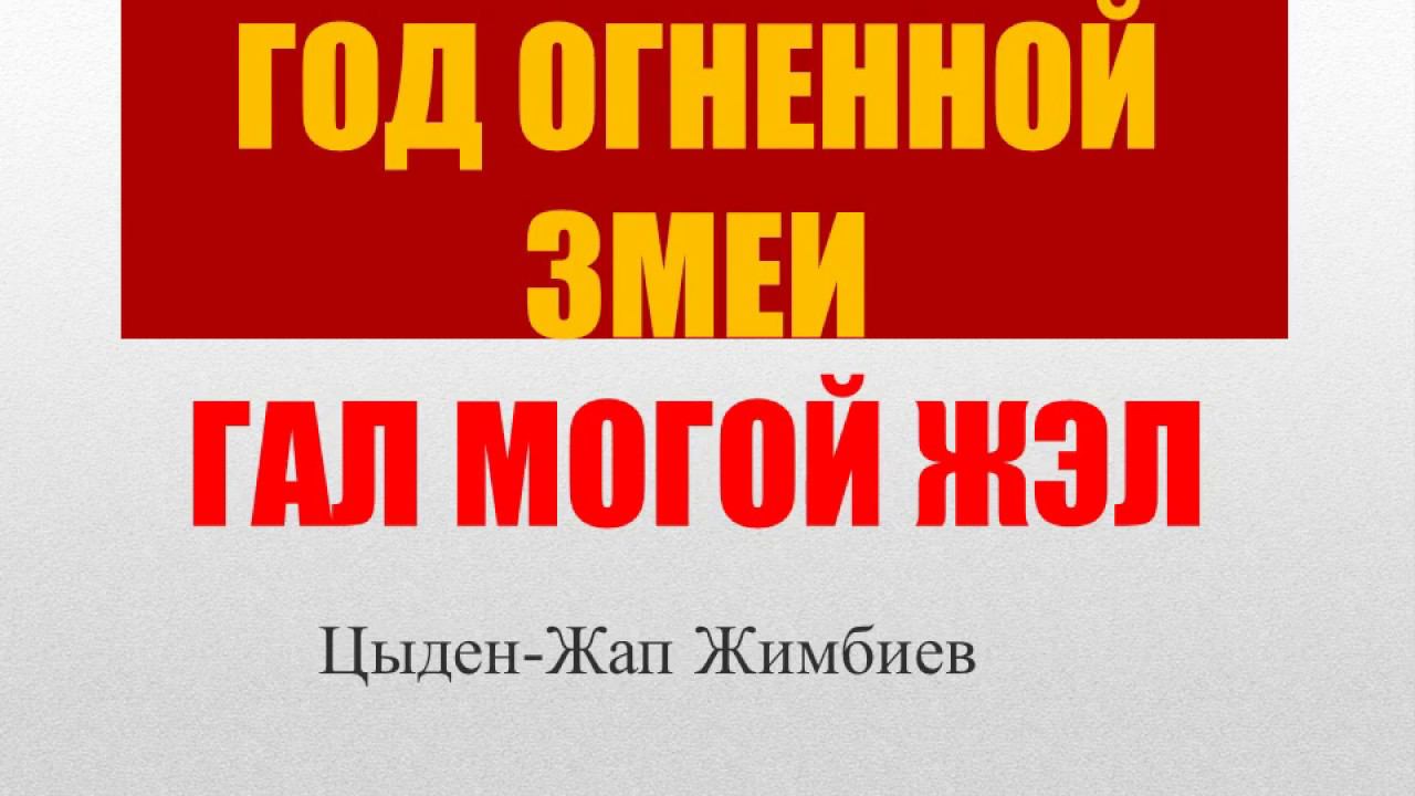 Бармит Эльвира Валерьевна, «Год огненной змеи»