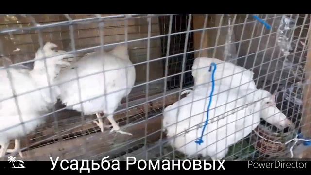 2020.Обзор-хозяйства-май